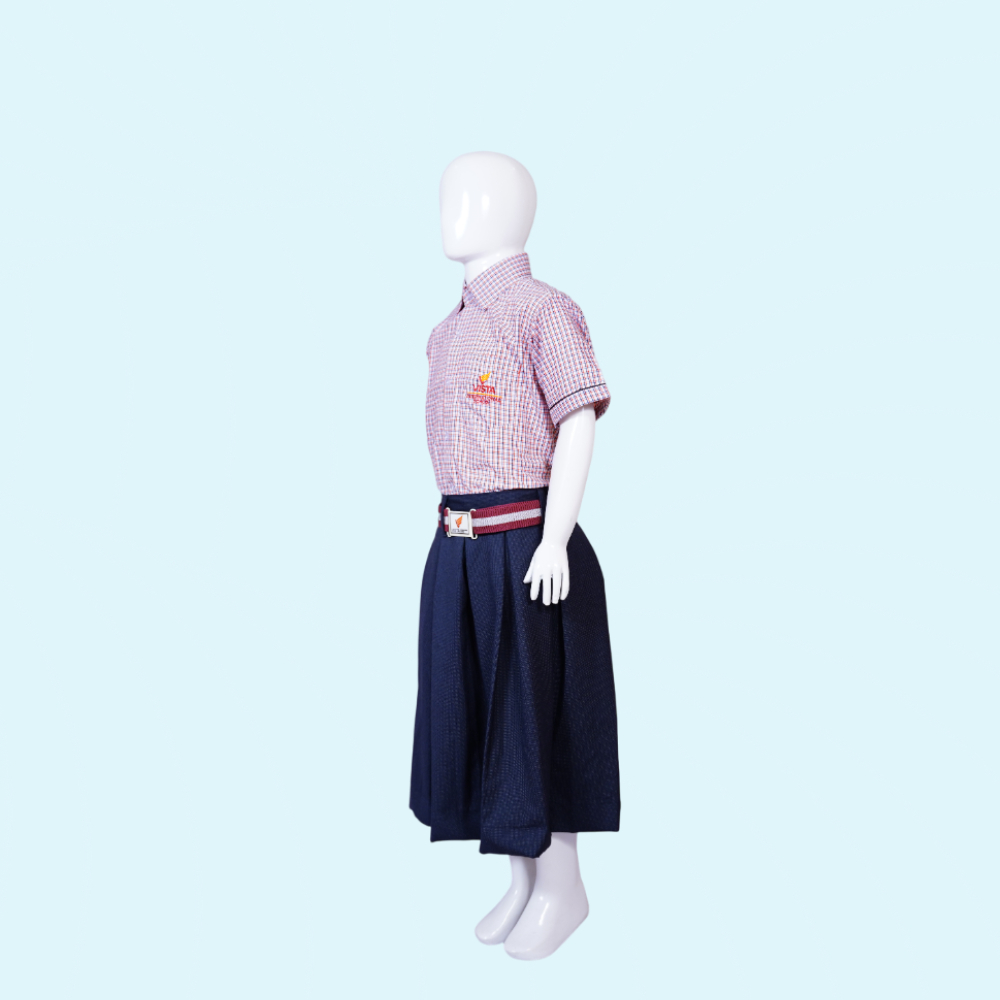 Skirt – Regular Uniform (6th to 12th Class, Girls) – Vista ...
